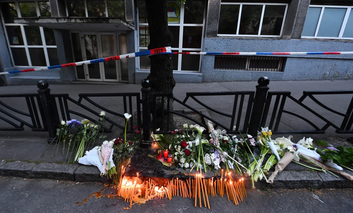 Prosvetna inspekcija počinje vanredni nadzor nad radom OŠ "Vladislav ...